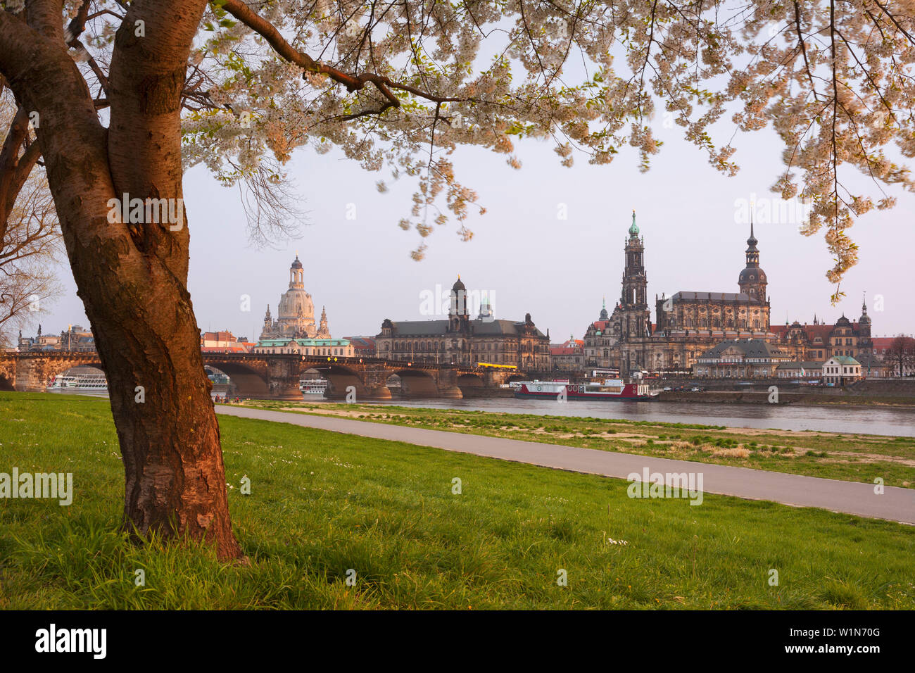 Old town of Dresden with the Frauenkirche, the House of the Estates ...