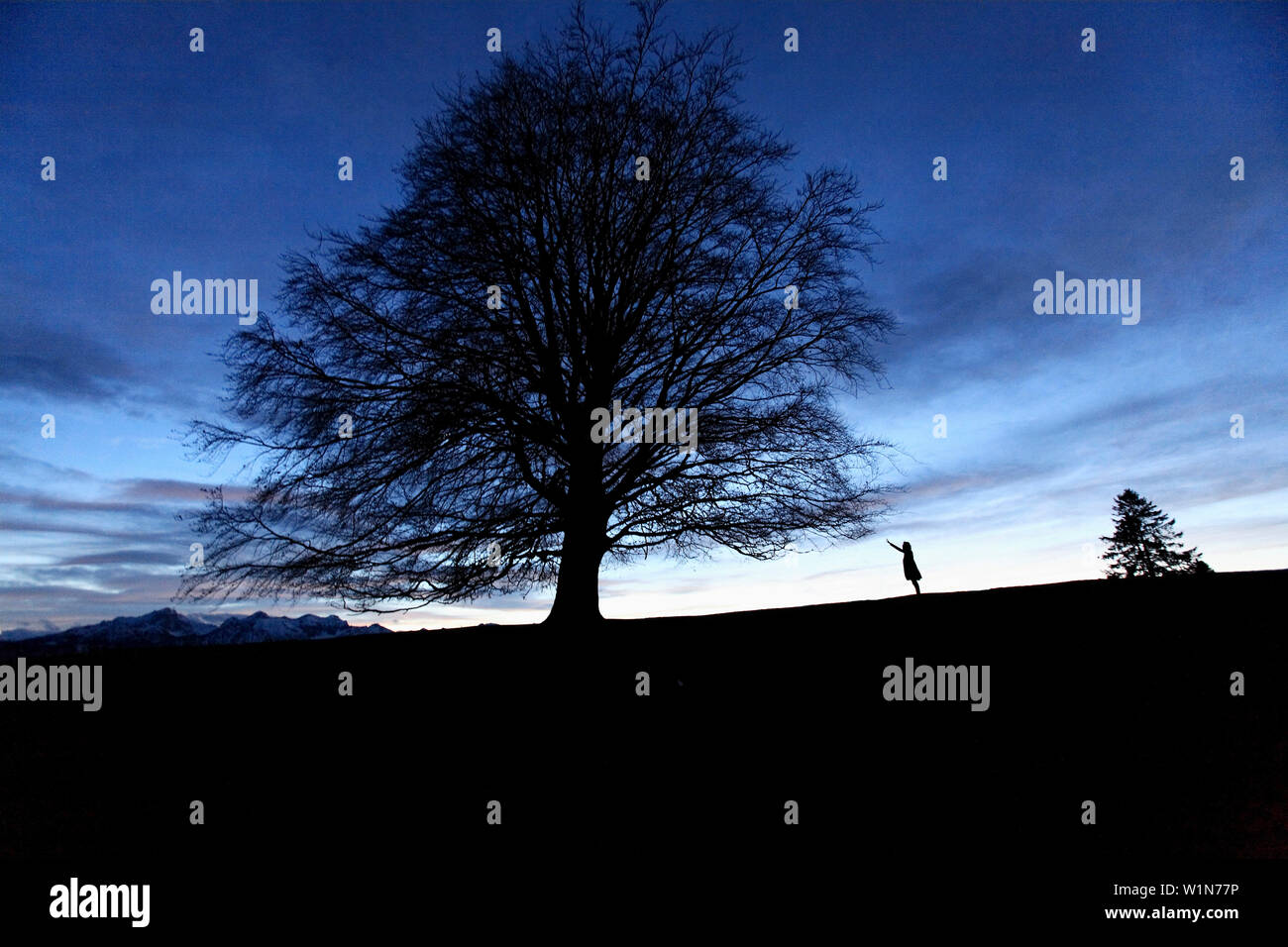 Woman shape shrub hi-res stock photography and images - Alamy