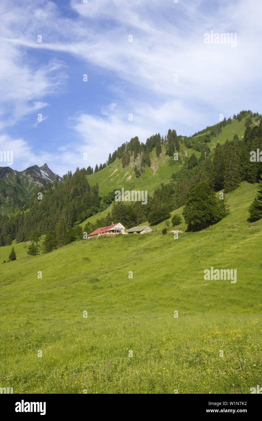 Hinterstein valley hi-res stock photography and images - Alamy
