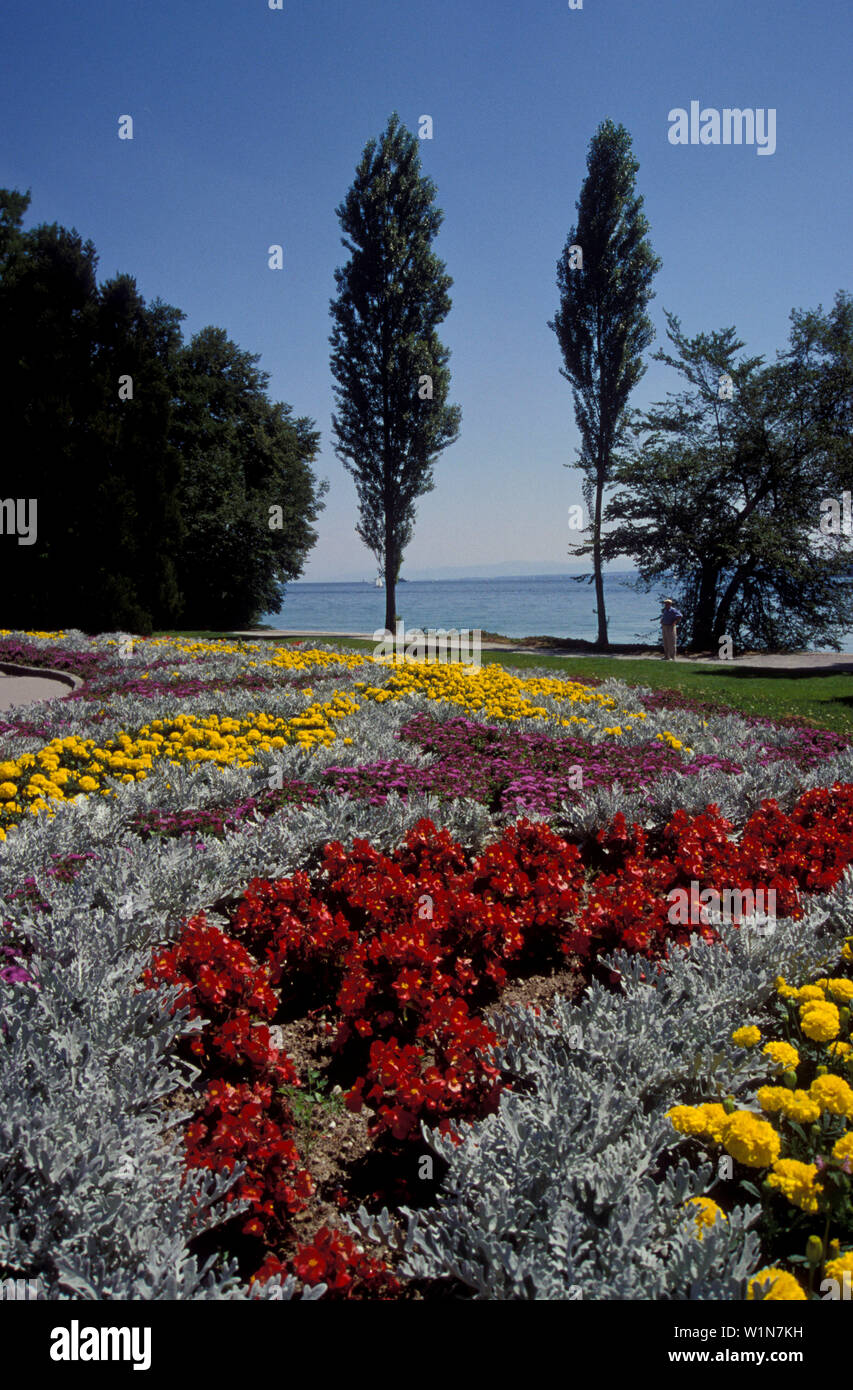 Flowers on Mainau island at Lake Constance, Baden Wurttemberg, Germany ...