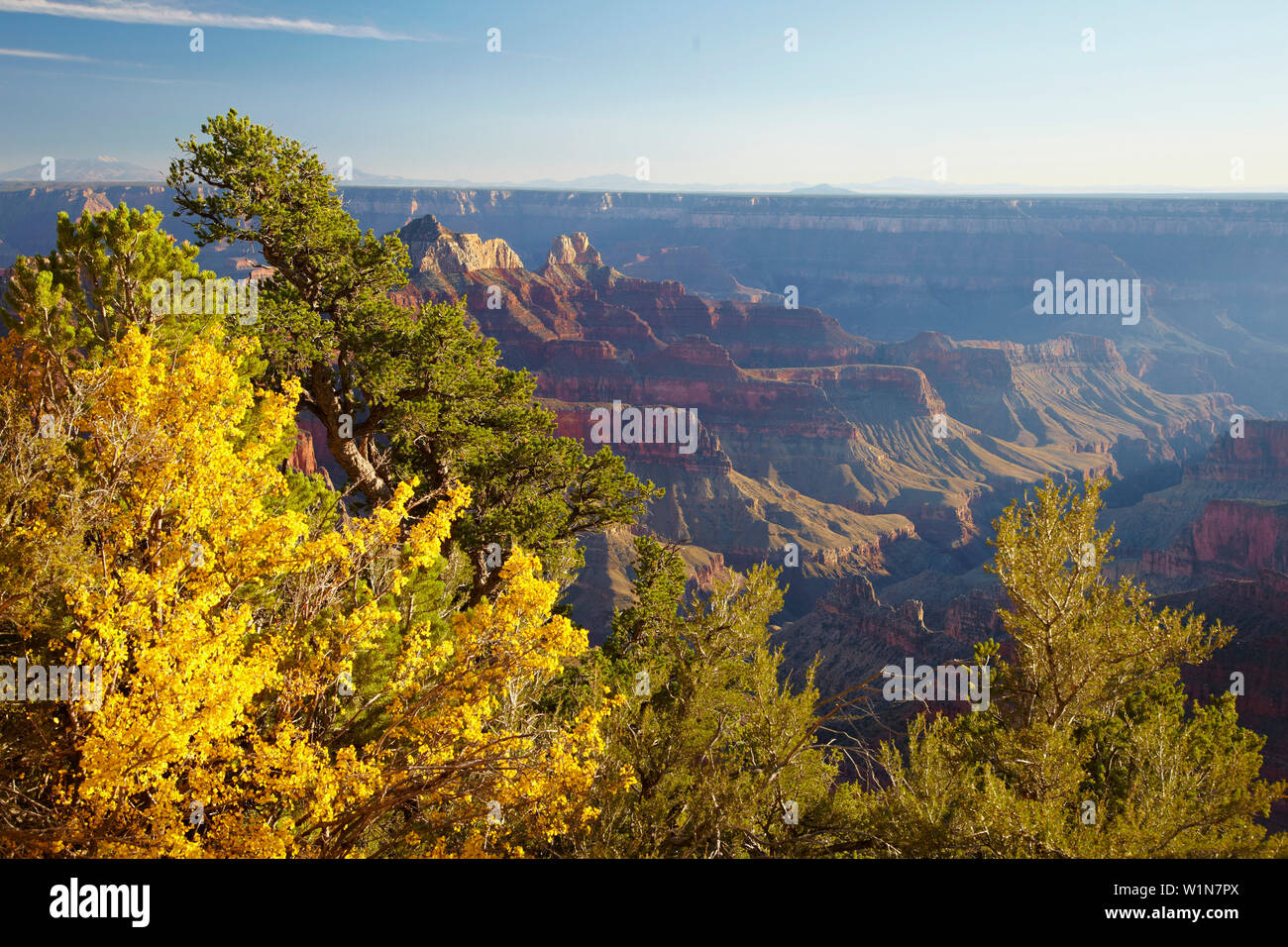 View from Bright Angel Point at Bright Angel Canyon , North Rim , Grand ...