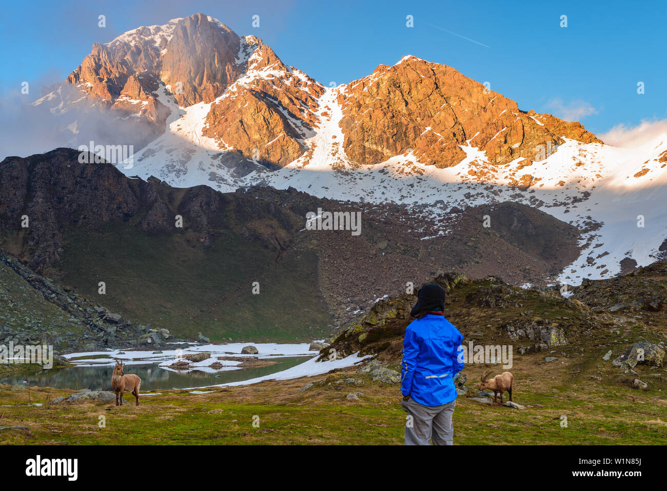 Woman looking up standing high angle hi-res stock photography and ...