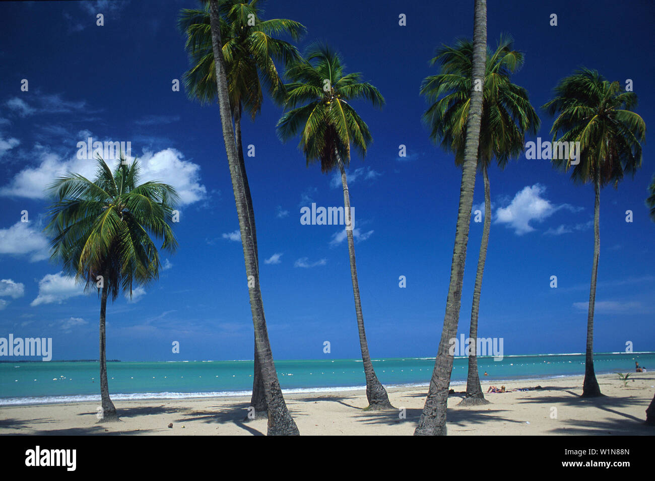 Moca dominican republic hi-res stock photography and images - Alamy