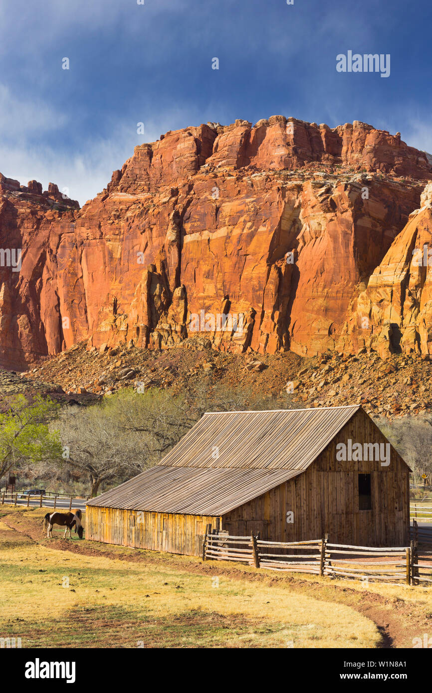 Fruita capitol reef national park hi-res stock photography and images ...