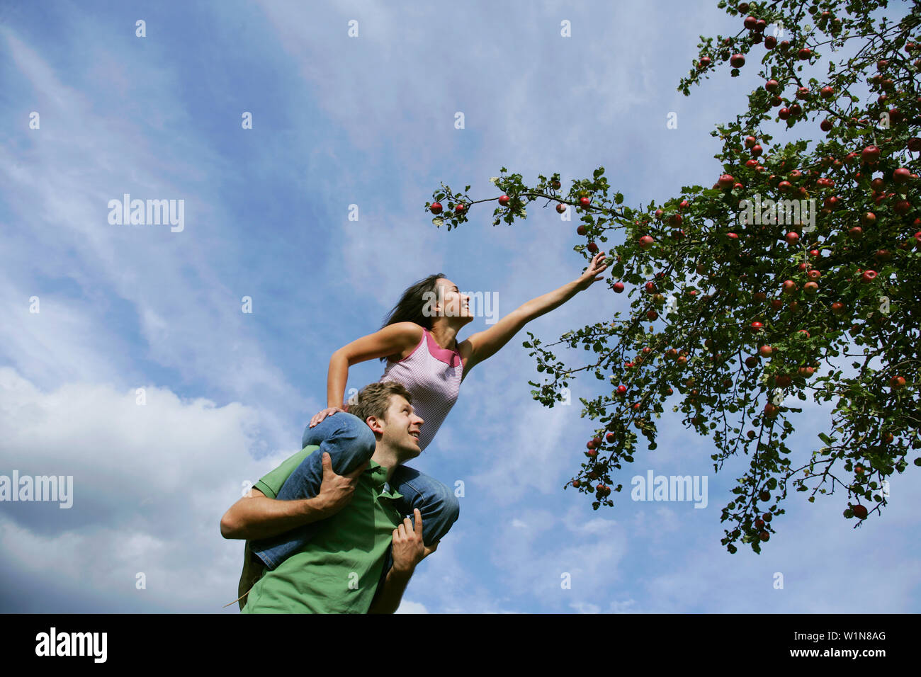 People reaching fruit on tree hi-res stock photography and images - Alamy