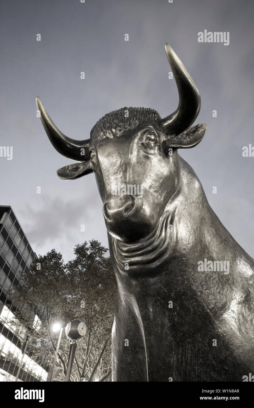 Lily bull hi-res stock photography and images - Alamy