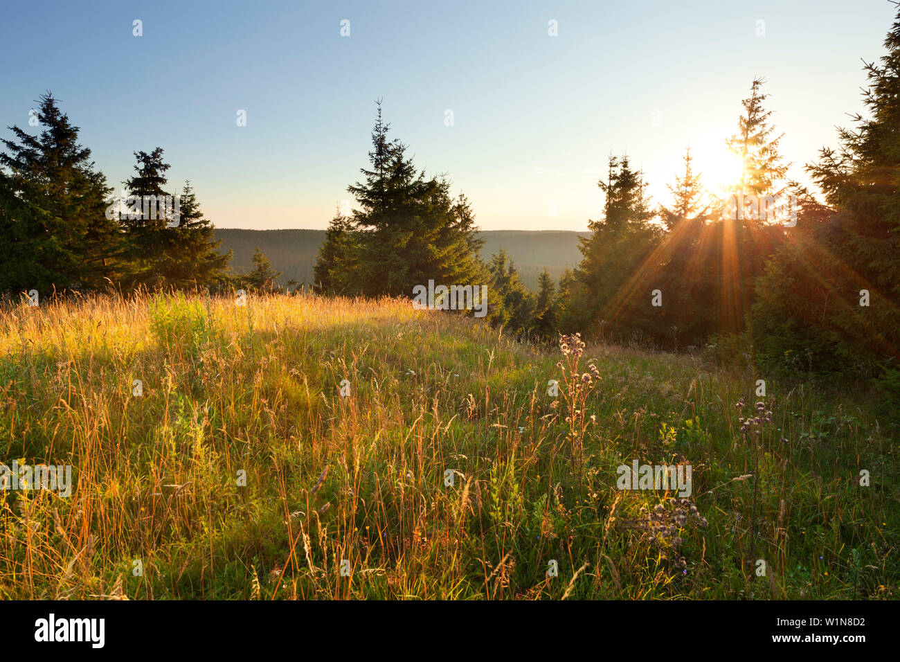 Sunset at Schneekopf hill, nature park Thueringer Wald, Thuringia ...