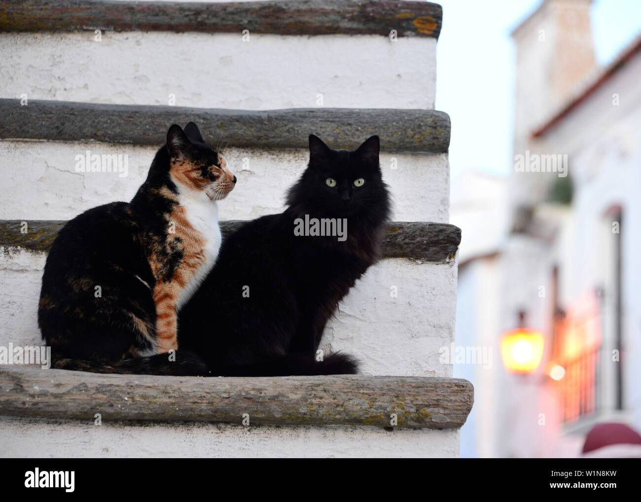 Lower Alentejo High Resolution Stock Photography and Images - Alamy