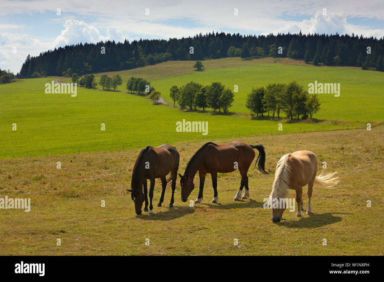 Kuppe hi-res stock photography and images - Alamy