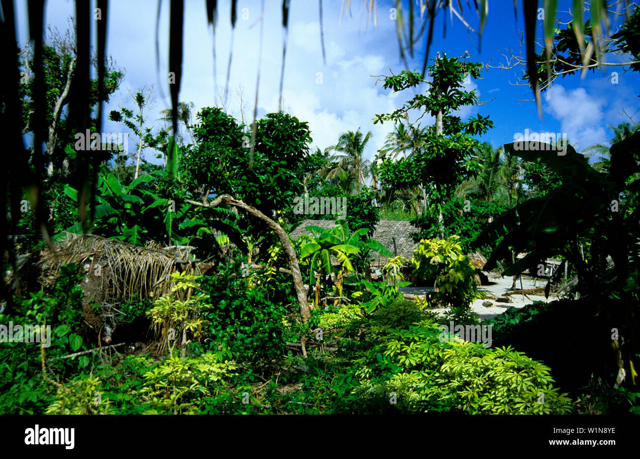 Tikopia - Temotu Province Solomon Islands - South Pacific Stock Photo ...