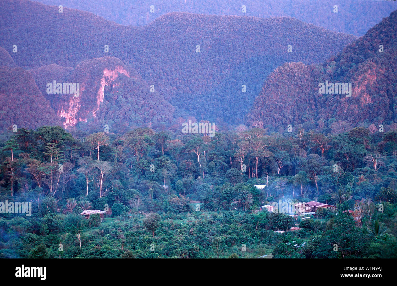 Punan village in rainforest, Borneo, Sarawak, Gunung Mulu NP, Malaysia ...