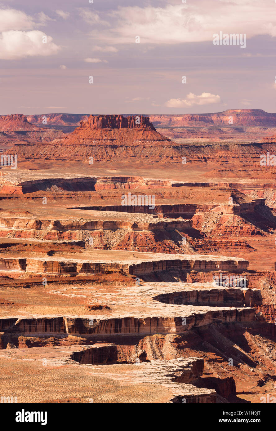 Grand View Point, Green River Overlook, Island In The Sky, Canyonlands ...