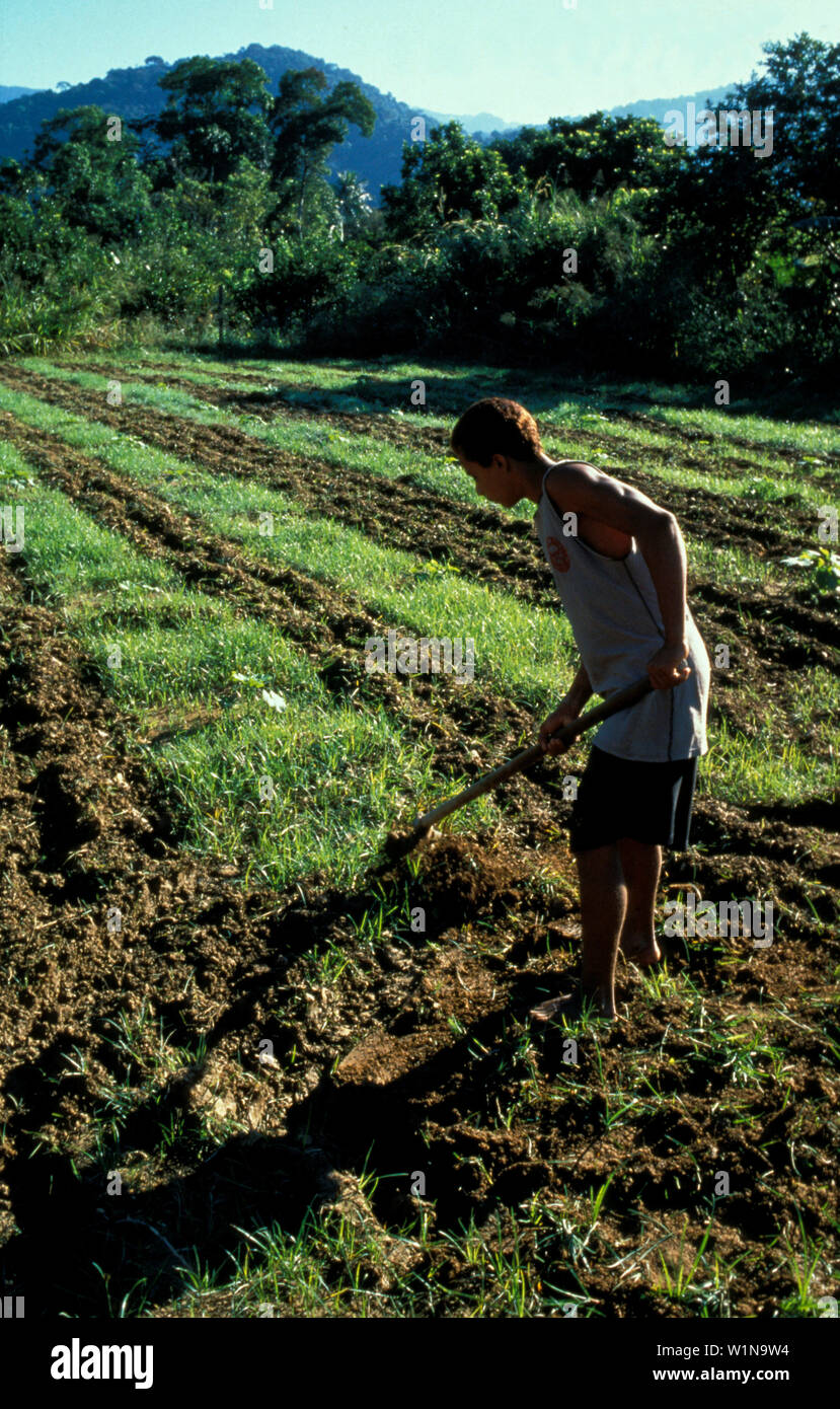 Child on field, Rio de Janeiro, Brazil South America Stock Photo - Alamy