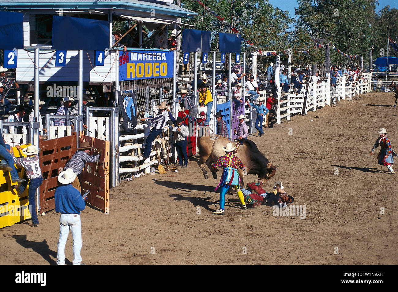 Queensland rodeo hi-res stock photography and images - Alamy