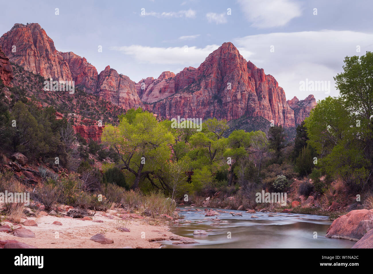 The Watchman, Cottonwood, Virgin River, Zion National Park, Utah, USA ...