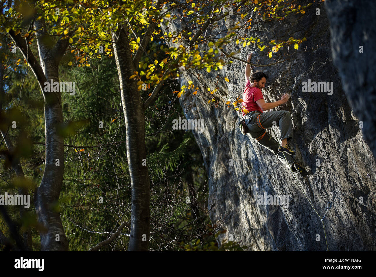 Young man climbing at a rock face, Schwaerzer Wand, Bavaria, Germany ...