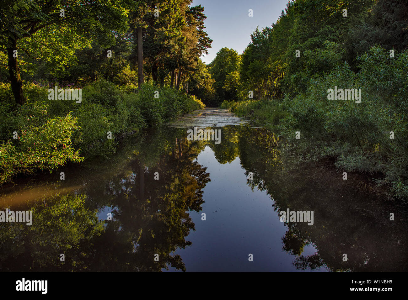 Evening reflections on Cammo Estate canal Edinburgh Stock Photo - Alamy