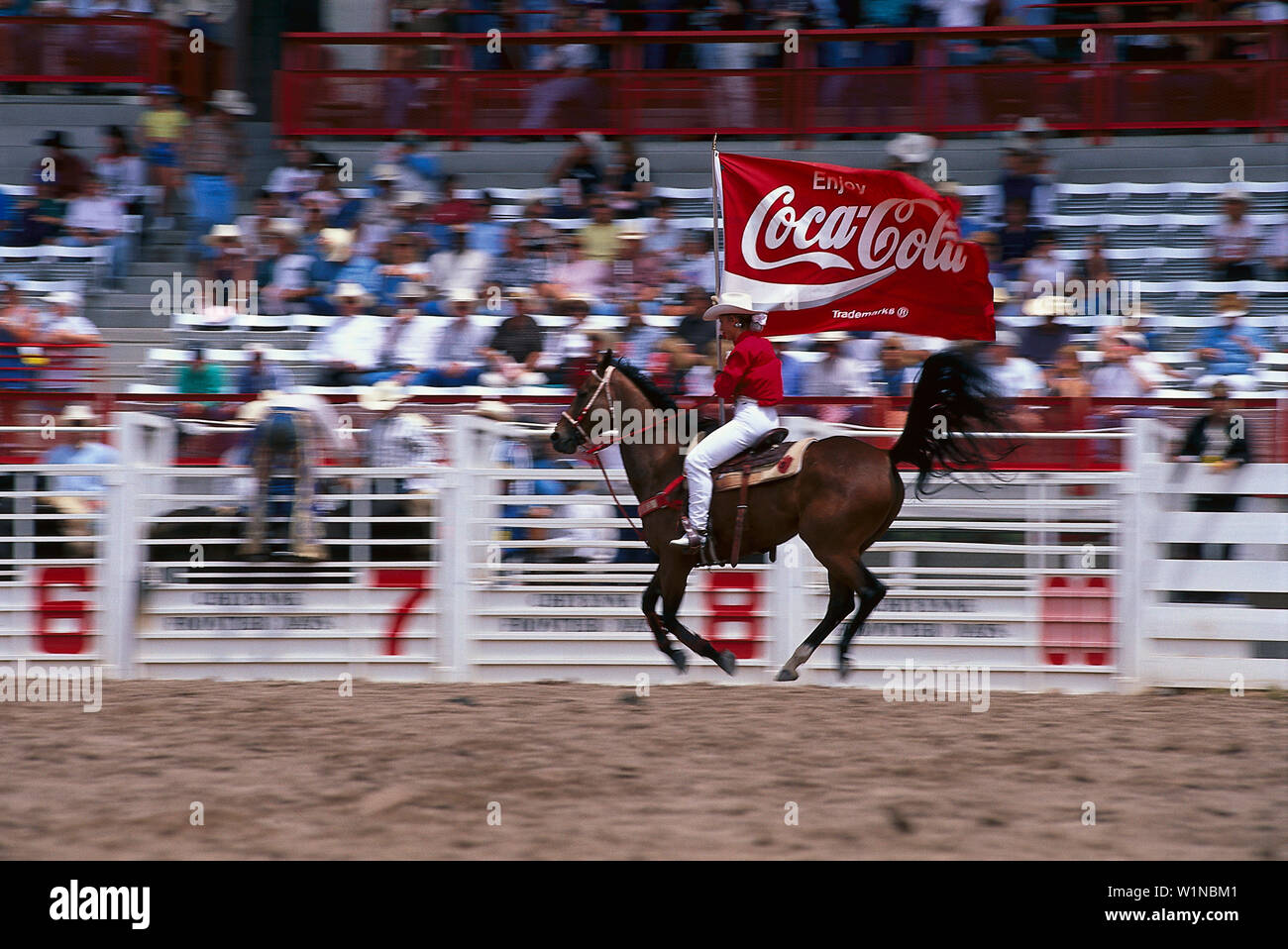 Cowboy, Rodeo, Coca-Cola Sponsor Flag, Cheyenne Frontier Days Rodeo ...