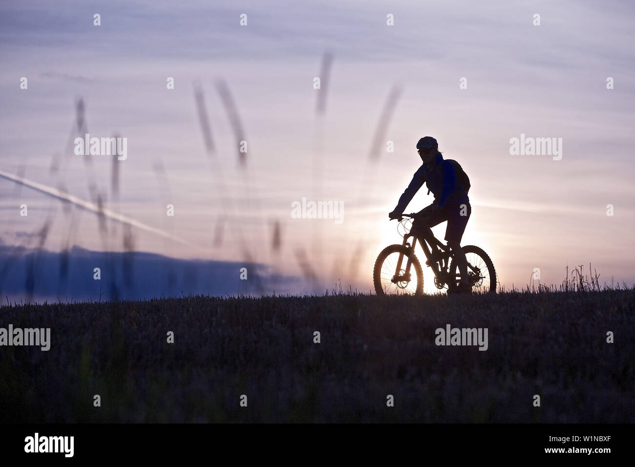 Young woman riding with her bike through a field Stock Photo - Alamy