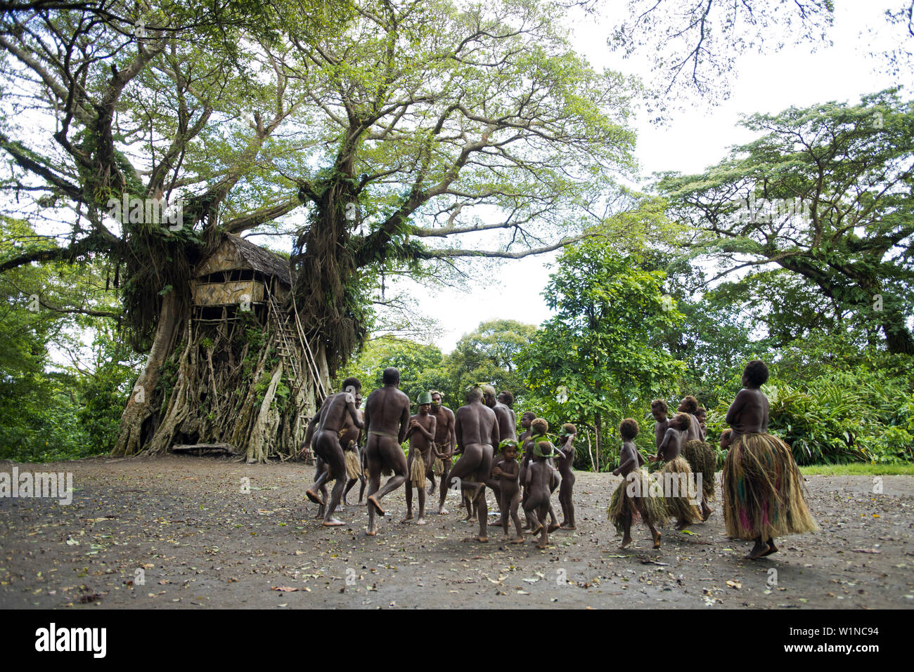 Traditional life at the Yakel Custom Village on the island of Tanna ...