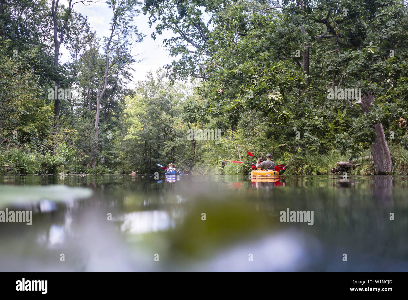 Kayak tourists paddling through the Spreewald biosphere reserve ...