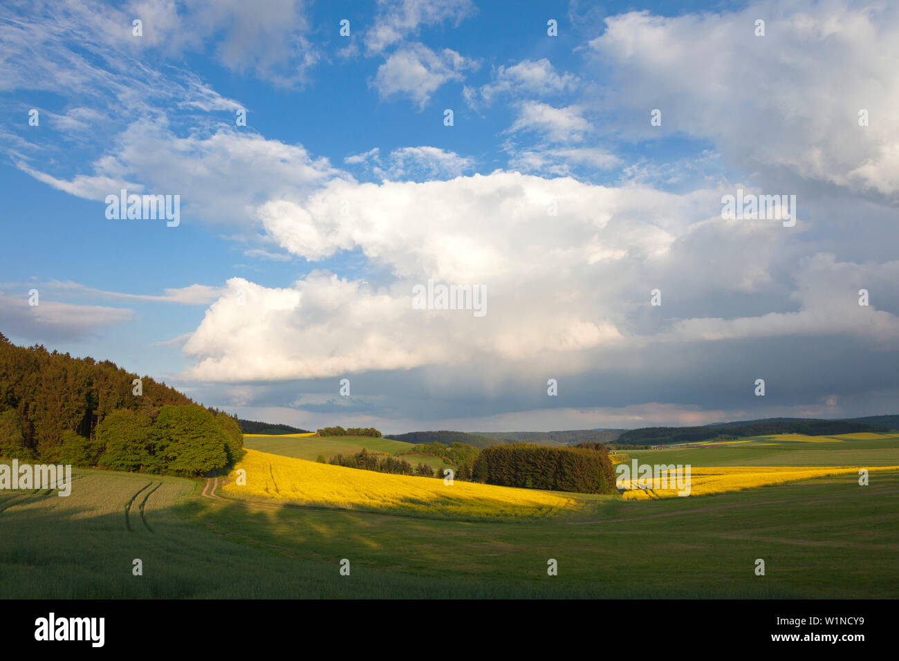 Landscape near Nuerburg, Eifel, Rhineland-Palatinate, Germany Stock ...