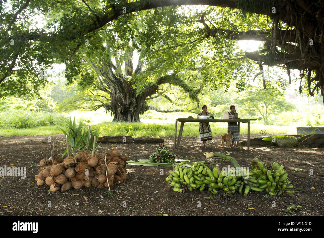 Tanna island lenakel hi-res stock photography and images - Alamy