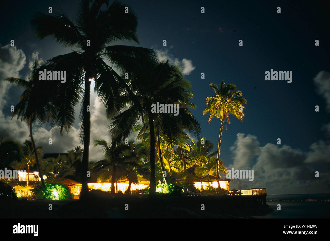 Coconut Trees at Night, Rarotongan Beach Resort Rarotonga, Cook Islands ...