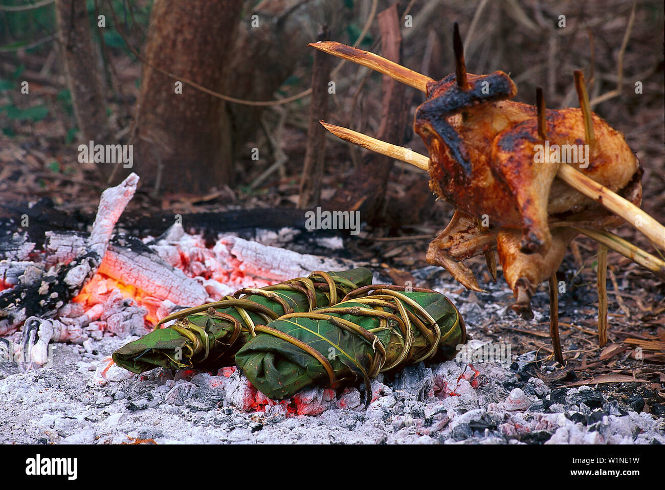 Dinner, Vanuatu South Seas Stock Photo - Alamy