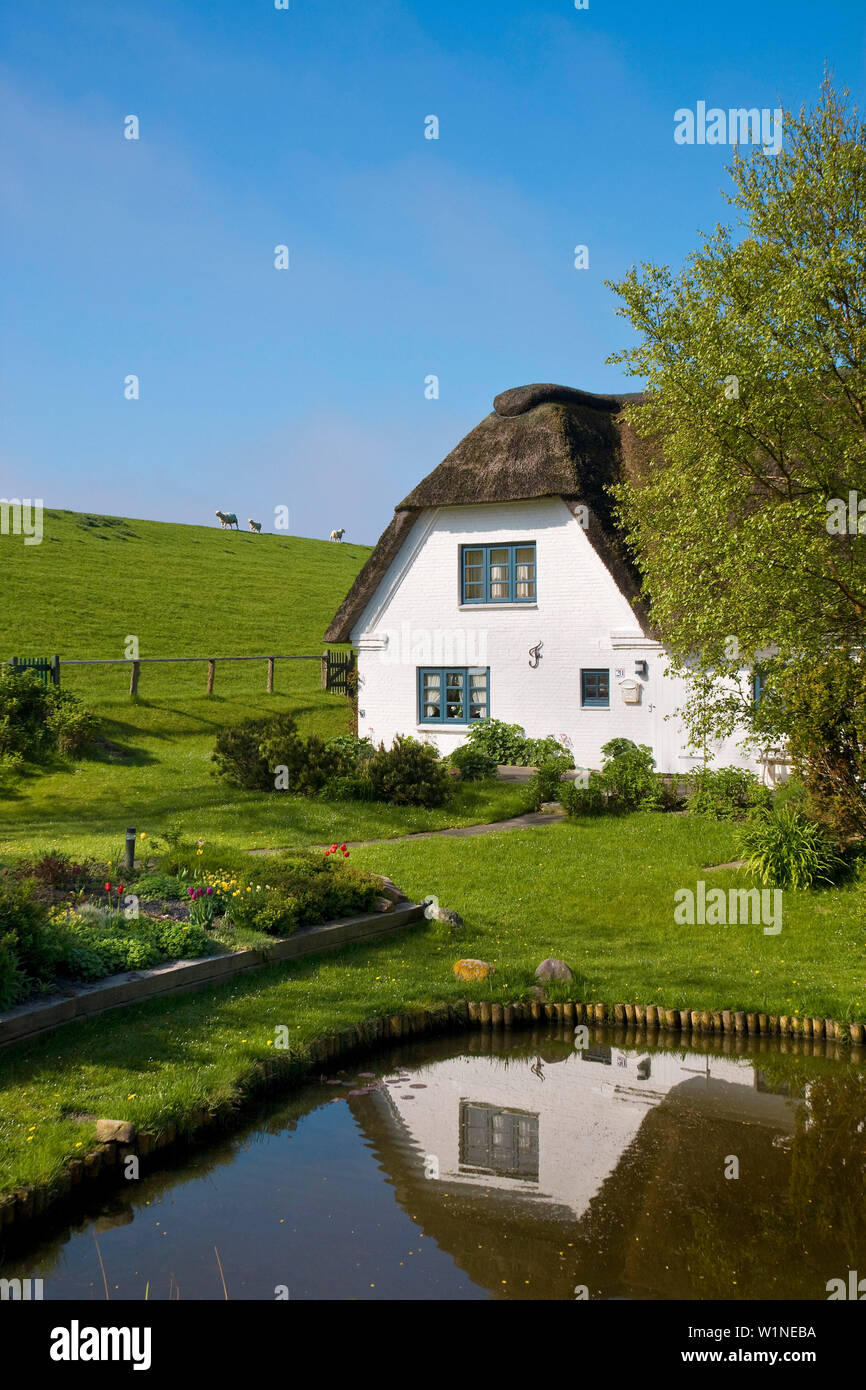Pellworm Island High Resolution Stock Photography and Images - Alamy