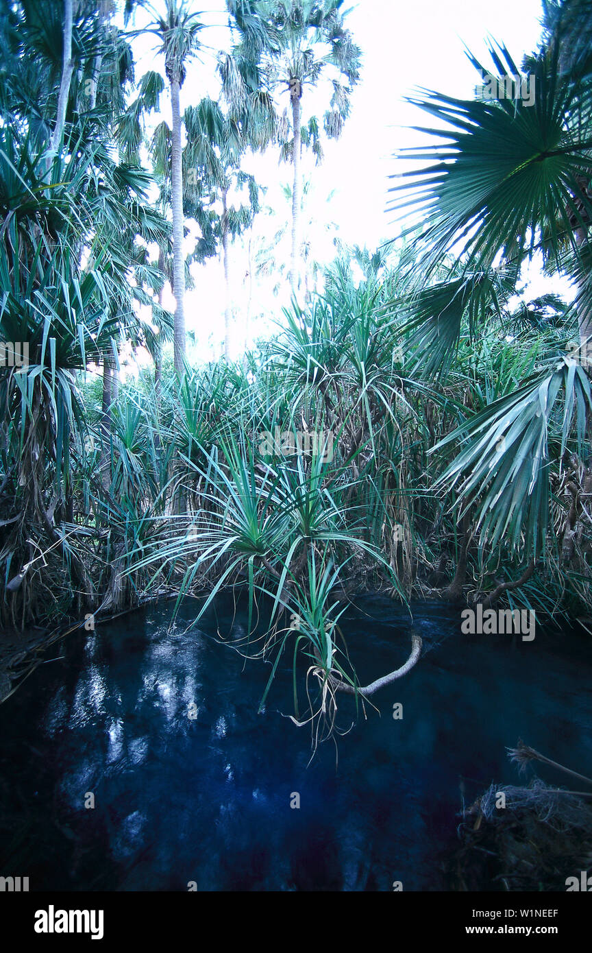 Zebedee springs and australia hi-res stock photography and images - Alamy