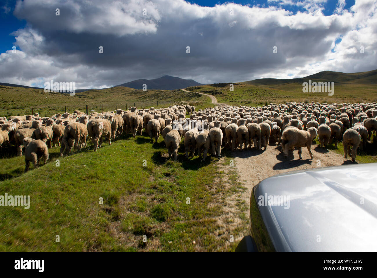 Hawkdun range hi-res stock photography and images - Alamy
