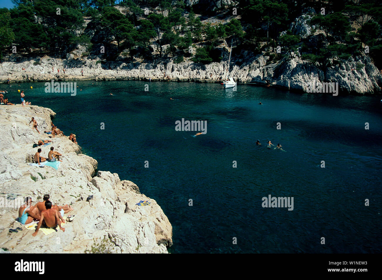 Calanque de Port Pin, Bei Cassis, Provence Frankreich Stock Photo - Alamy