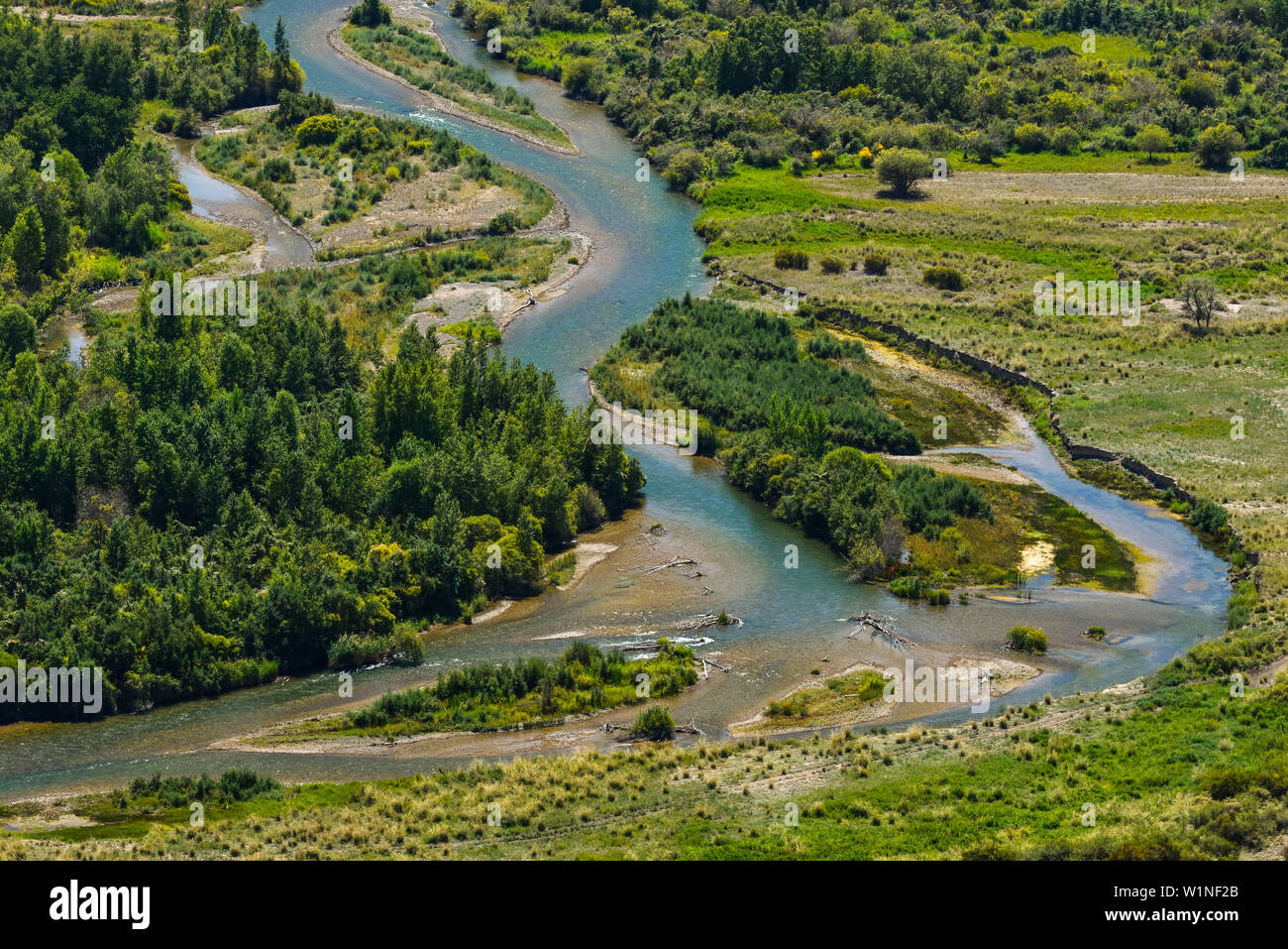 Oasis with primeval forest from ice-age with ancient turanga and ash ...