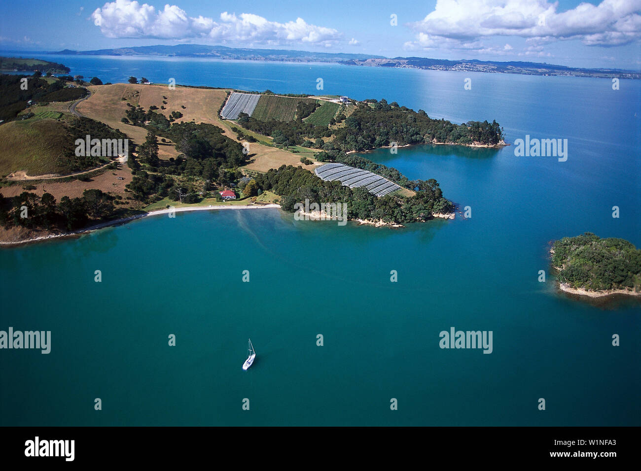 Aerial Photo, Waiheke Island, Hauraki Gulf Near Auckland, New Zealand ...