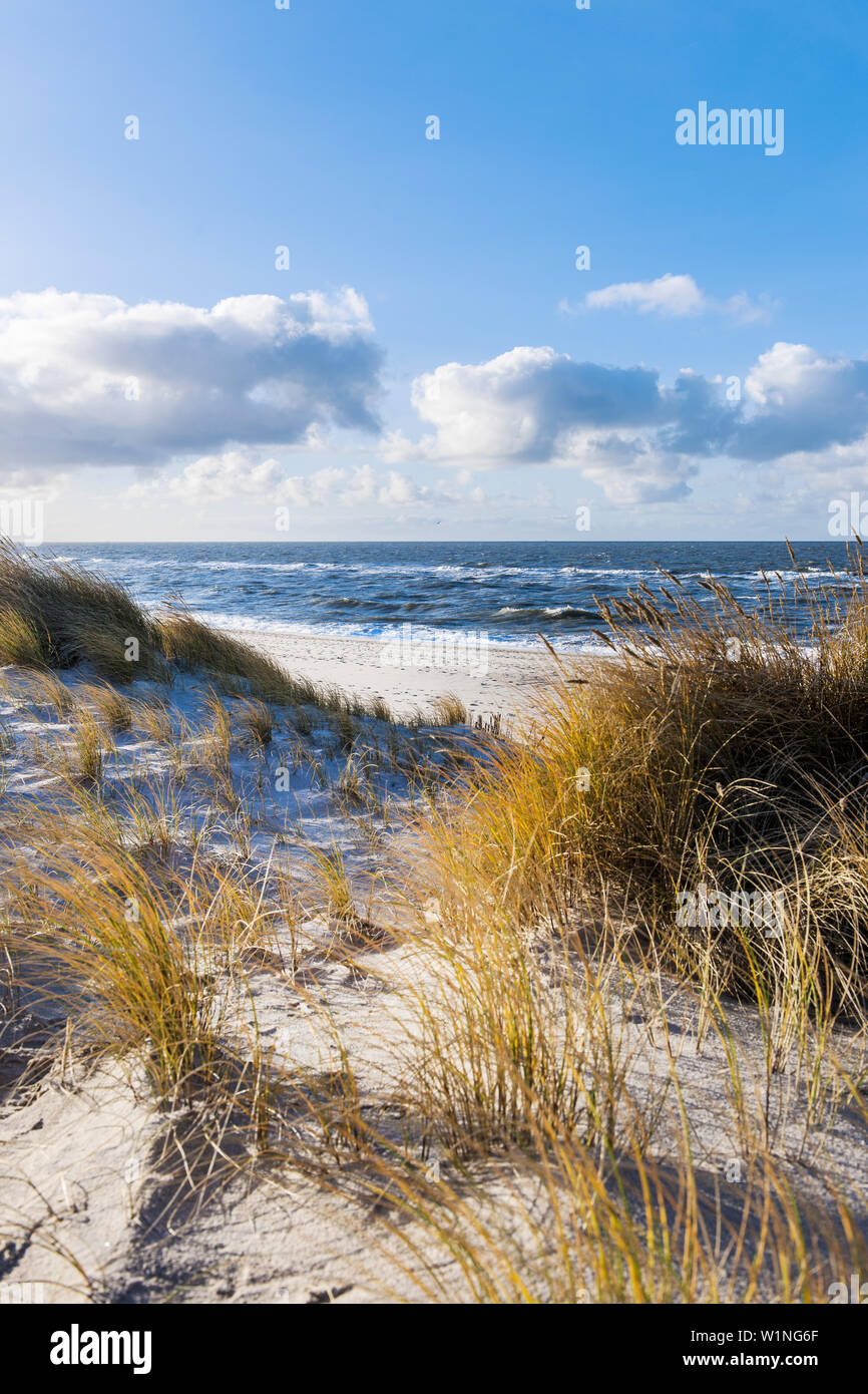 Ellenbogen nature reserve hi-res stock photography and images - Alamy