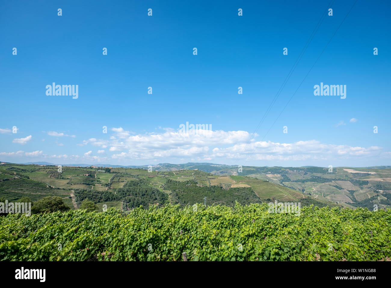 Douro Valley. Vineyards and landscape, Portugal Stock Photo - Alamy