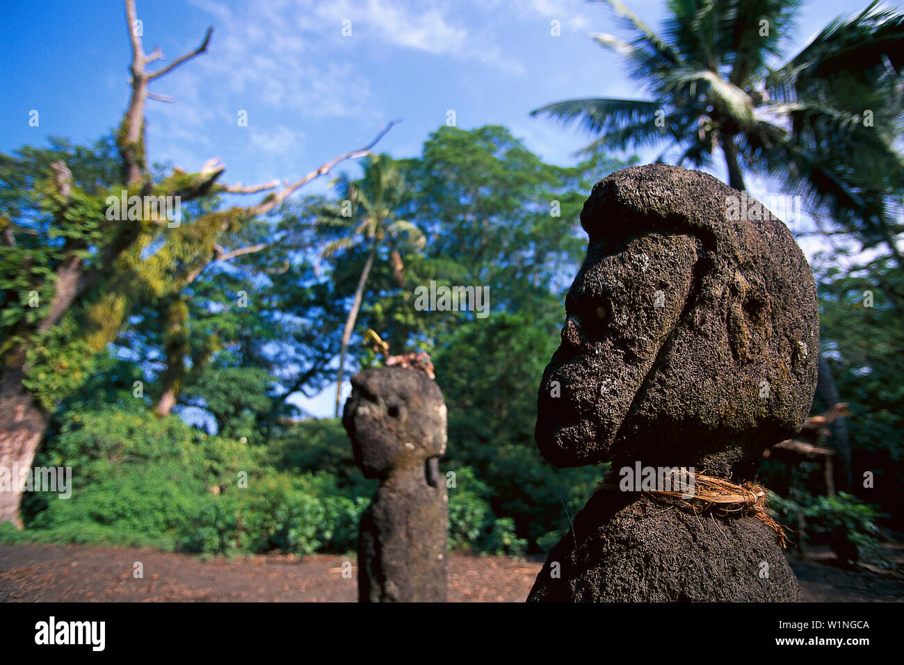 Yakel hi-res stock photography and images - Alamy