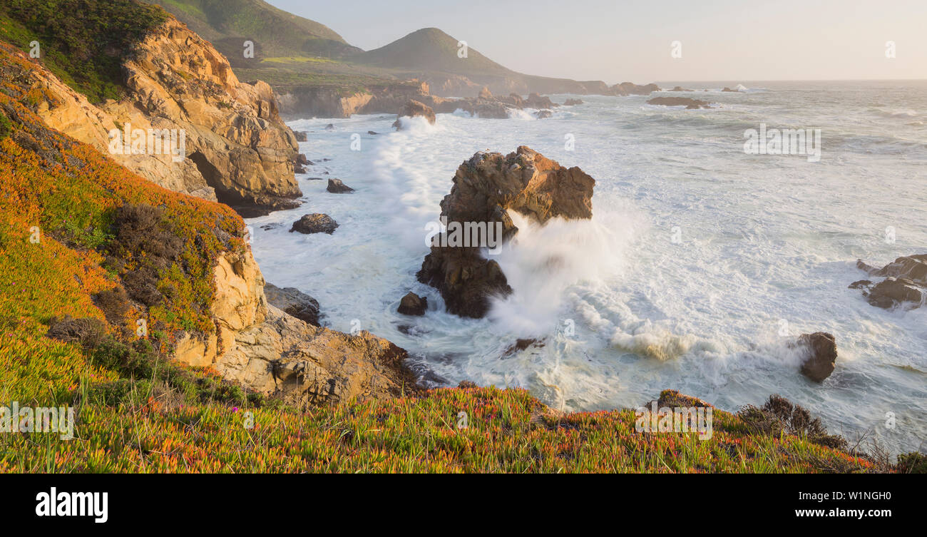 Coast, Big Sur, Cabrillo Highway 1, California, USA Stock Photo - Alamy