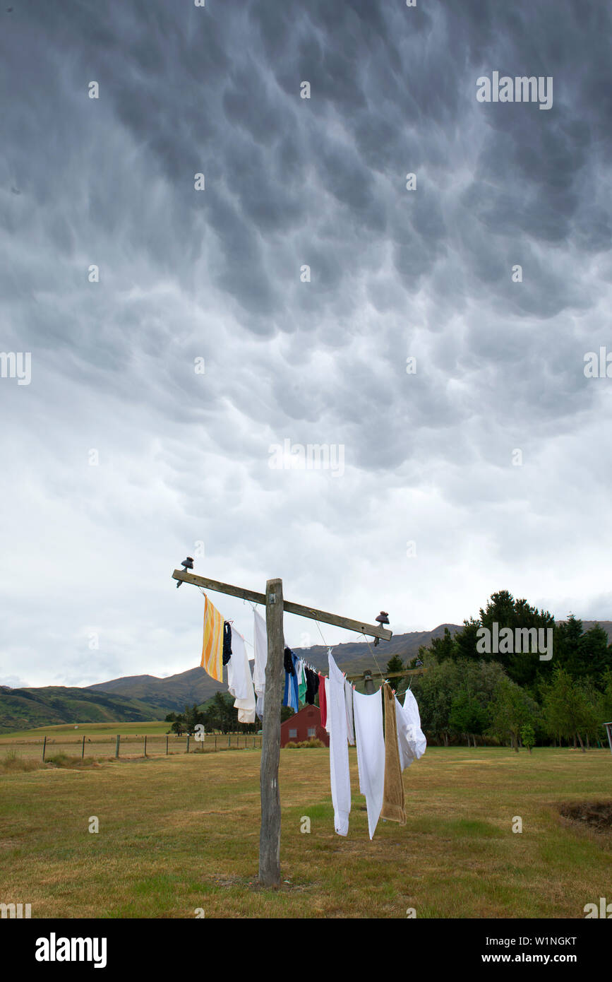 Washing line in the garden of the famous New Zealand artist Grahame ...