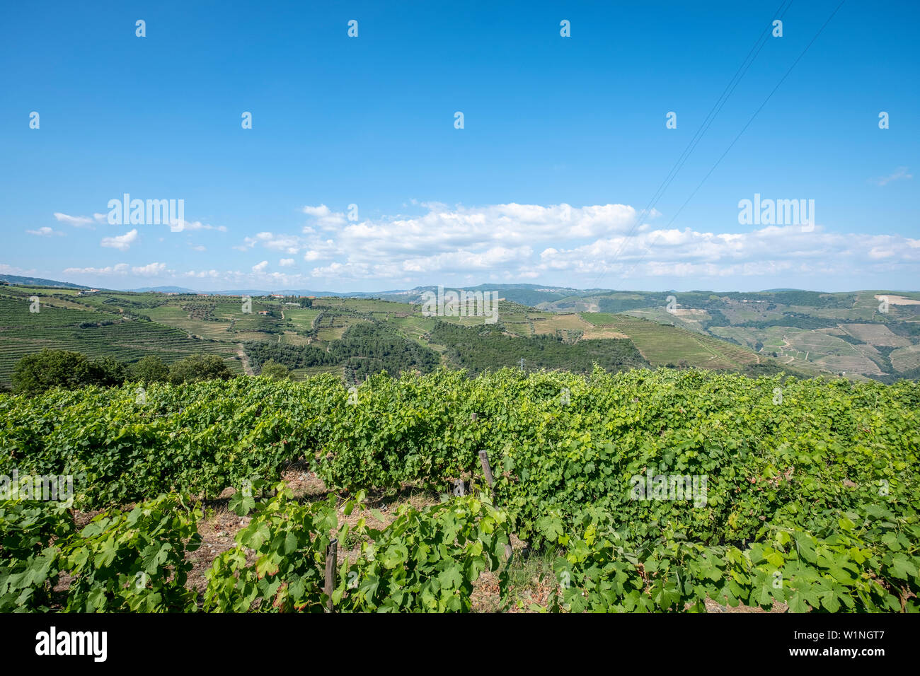 Douro Valley. Vineyards and landscape, Portugal Stock Photo - Alamy