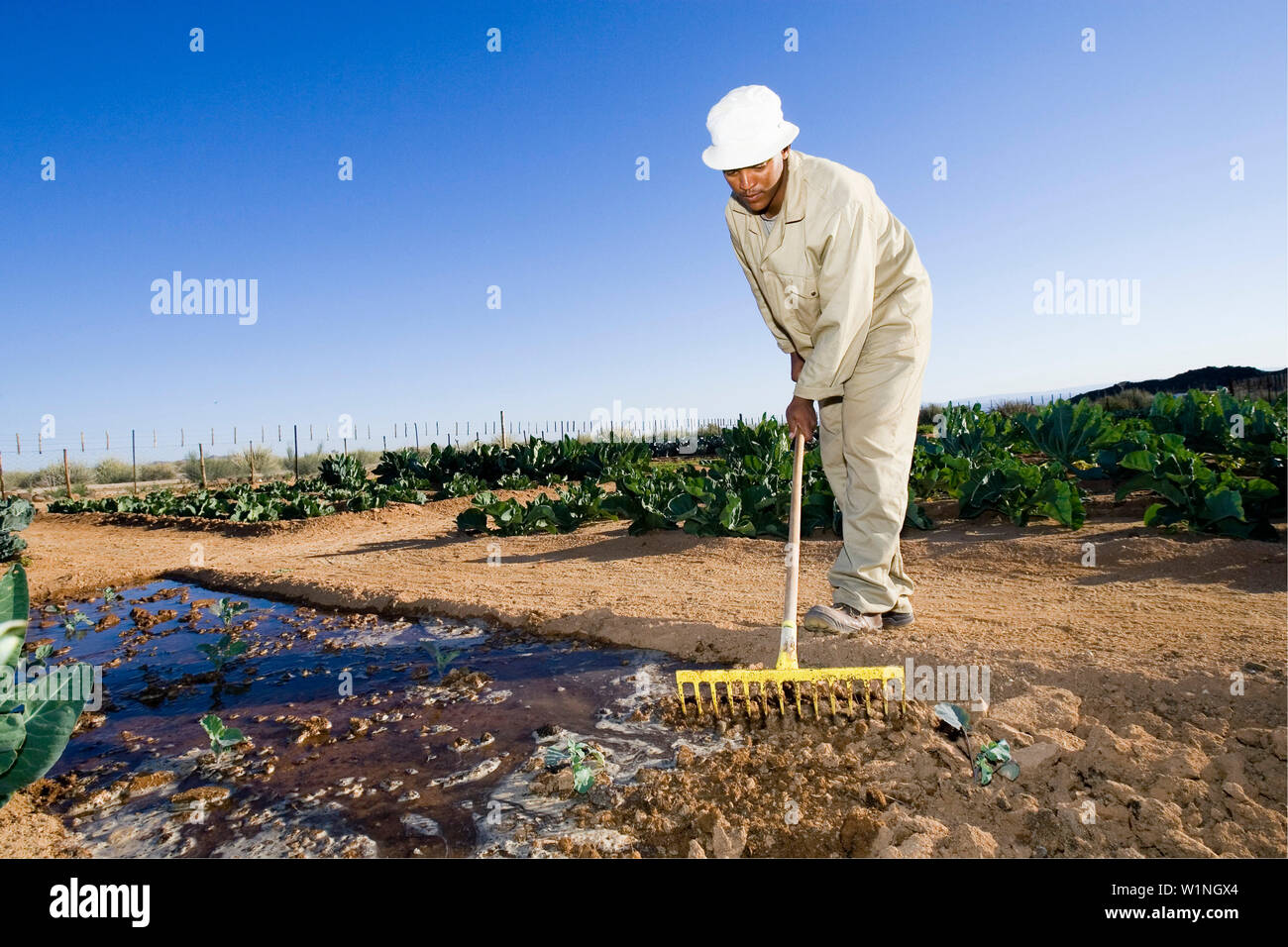 Origin southern africa hi-res stock photography and images - Alamy