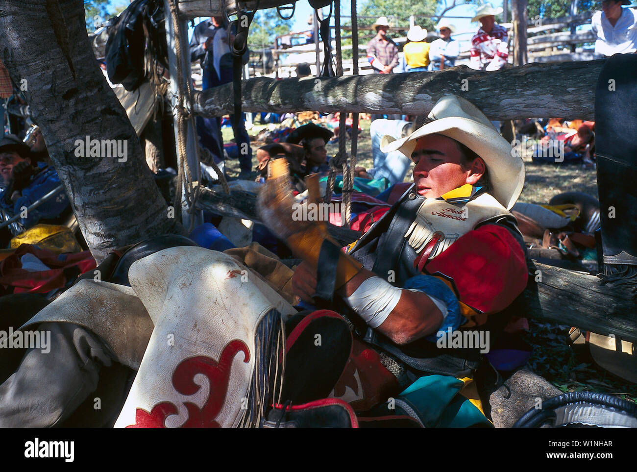Cowboy, Mareeba Rodeo, Mareeba Queensland, Australia Stock Photo - Alamy