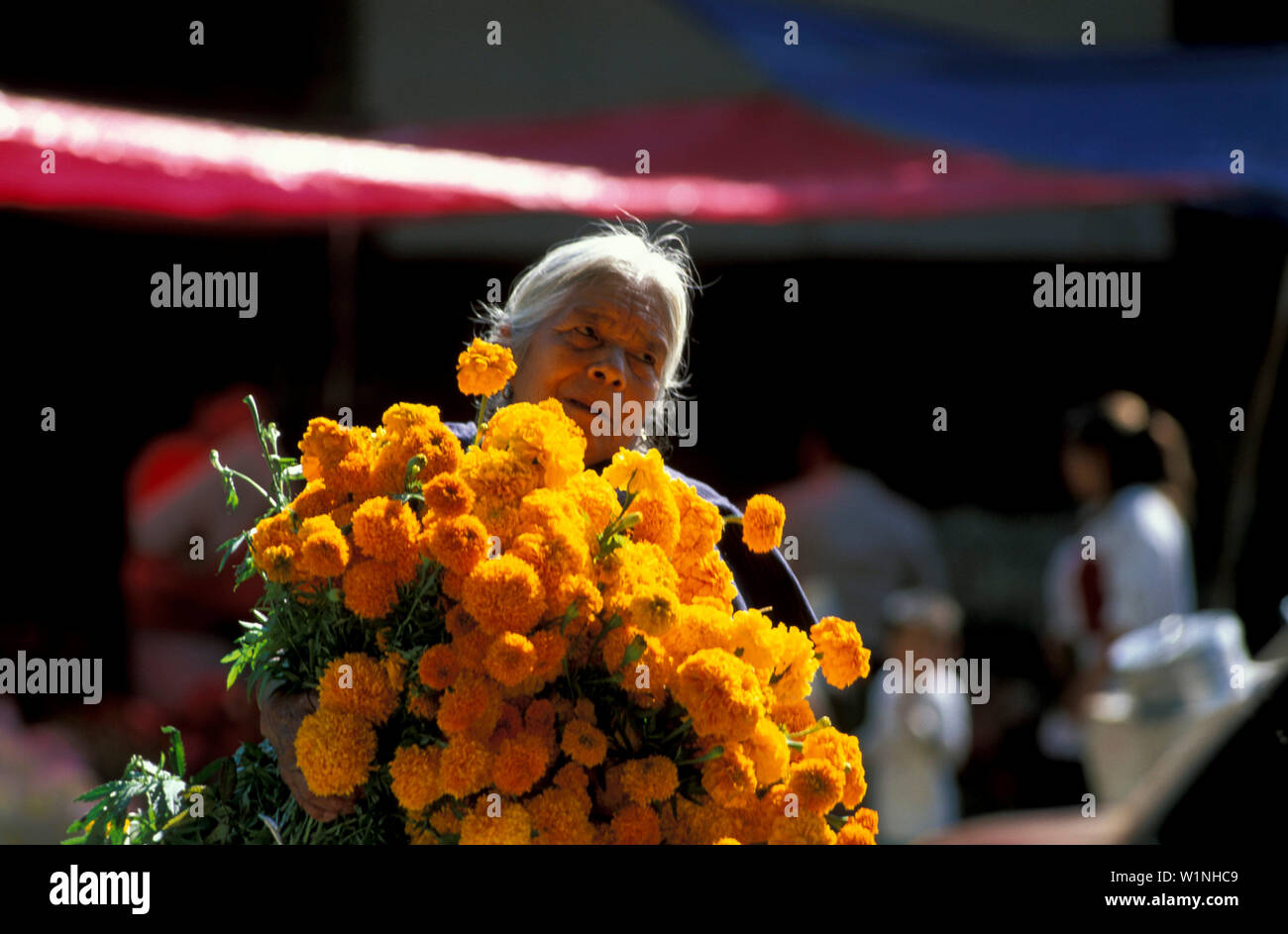 Flower market on the day of dead, Isla Pacanda Patzcuaro Michoacan ...