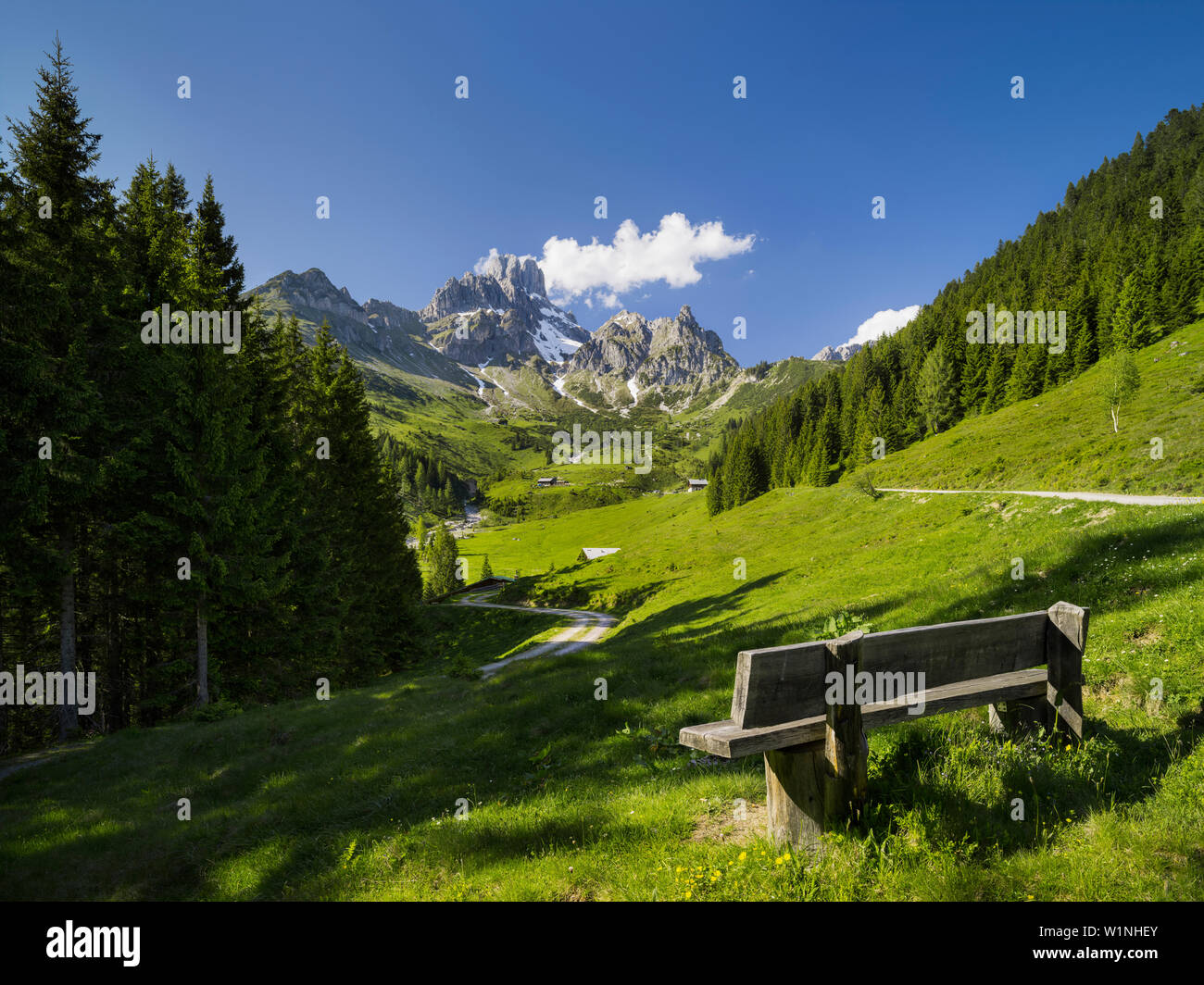 Bischofsmütze, Aualm, Filzmoos, Salzburg, Austria Stock Photo - Alamy
