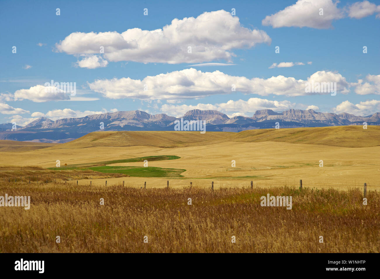 Prairie and Rocky Mountains near Bynum , Montana , U.S.A. , America ...