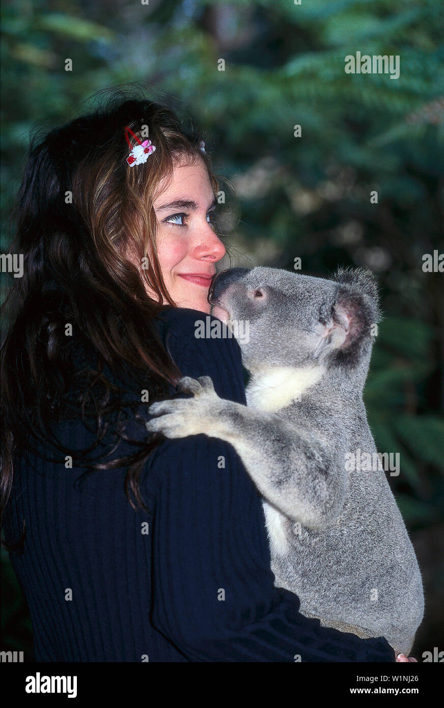 Woman australia koala hi-res stock photography and images - Alamy