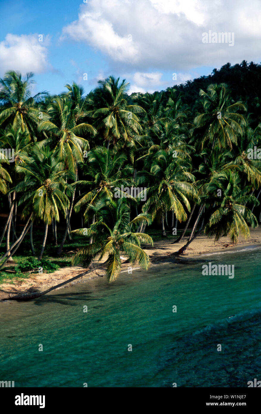 Playa Anadel, Samana, Dominikanische Republik Karibik Stock Photo - Alamy
