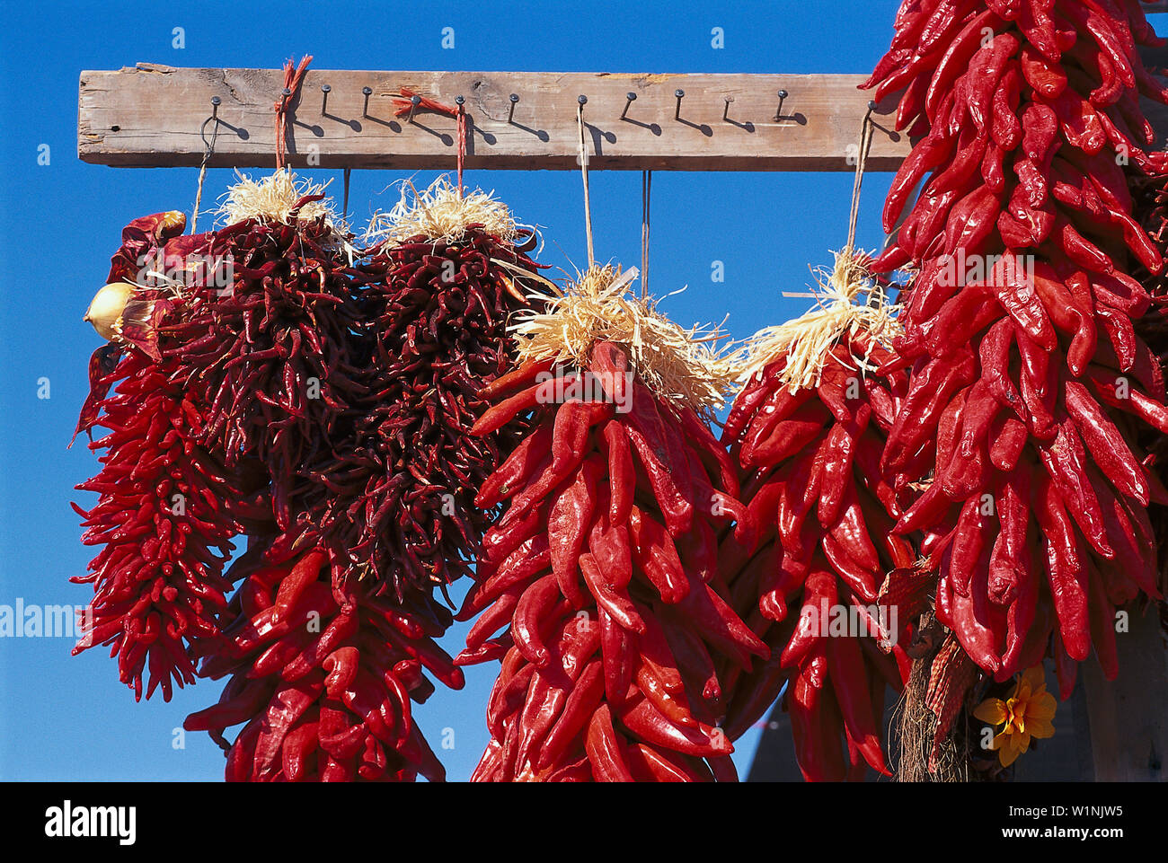 Chilli Stand, Hatch Chilli Festival, New Mexico USA Stock Photo - Alamy