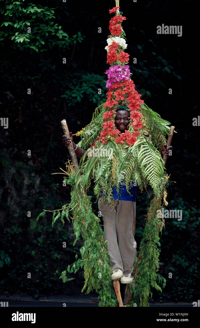 Jack in the bush hi-res stock photography and images - Alamy